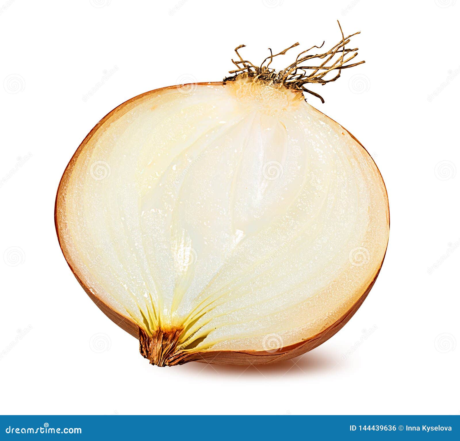 Onions isolated on white stock photo. Image of healthy - 144439636