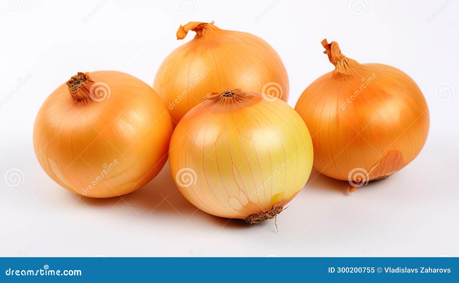 Onions in Isolation on a Pure White Background Stock Illustration ...
