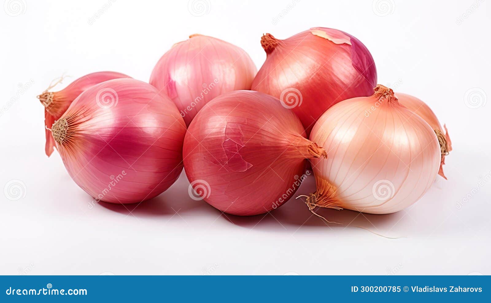 Onions in Isolation on a Pure White Background Stock Illustration ...
