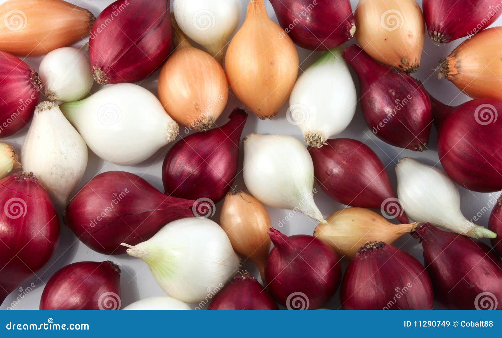 Onions many colors stock image. Image of white, life - 11290749