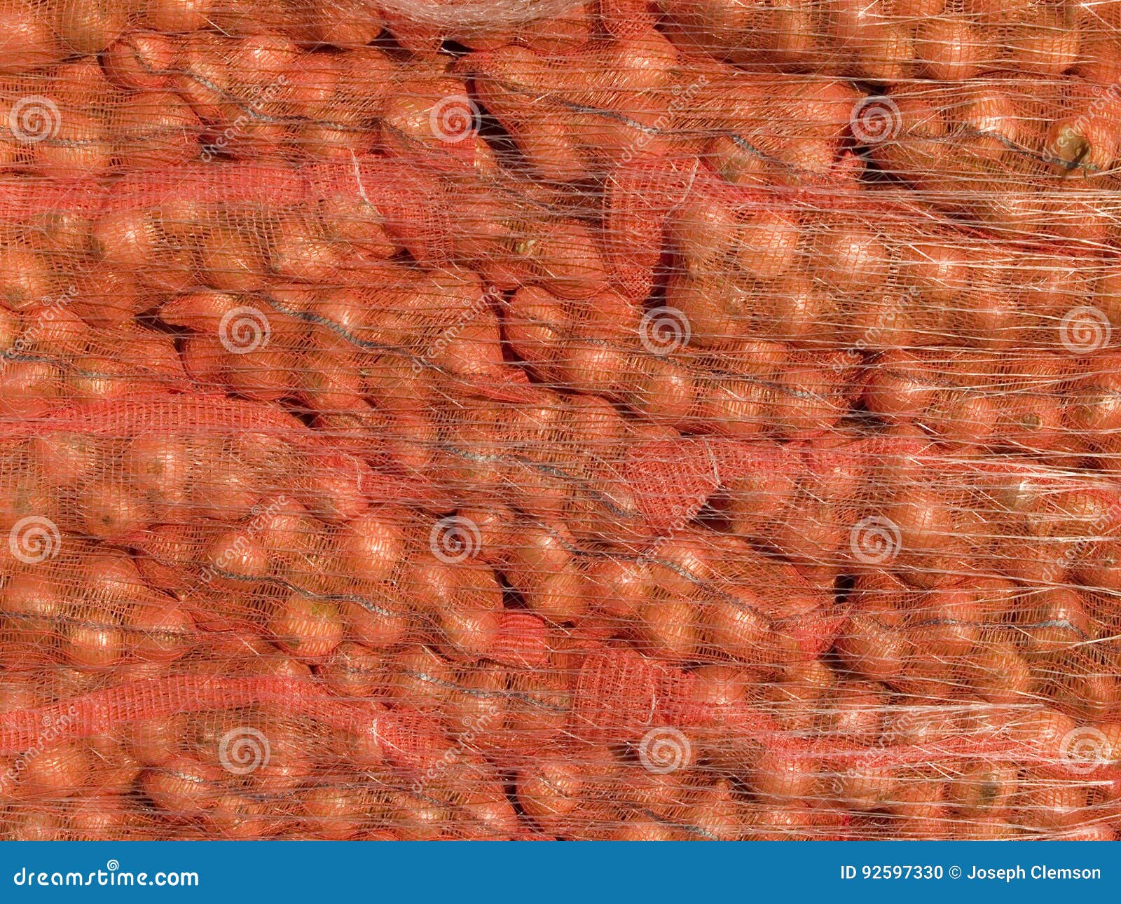Onions in netting stock photo. Image of vegetable, netting - 92597330