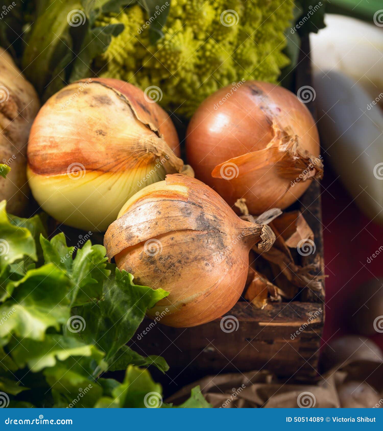 Bulbs Crates Stock Photos - Free & Royalty-Free Stock Photos from ...