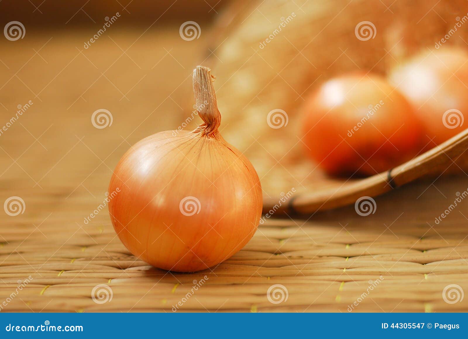 Onions on pallet stock image. Image of gourmet, farming - 44305547