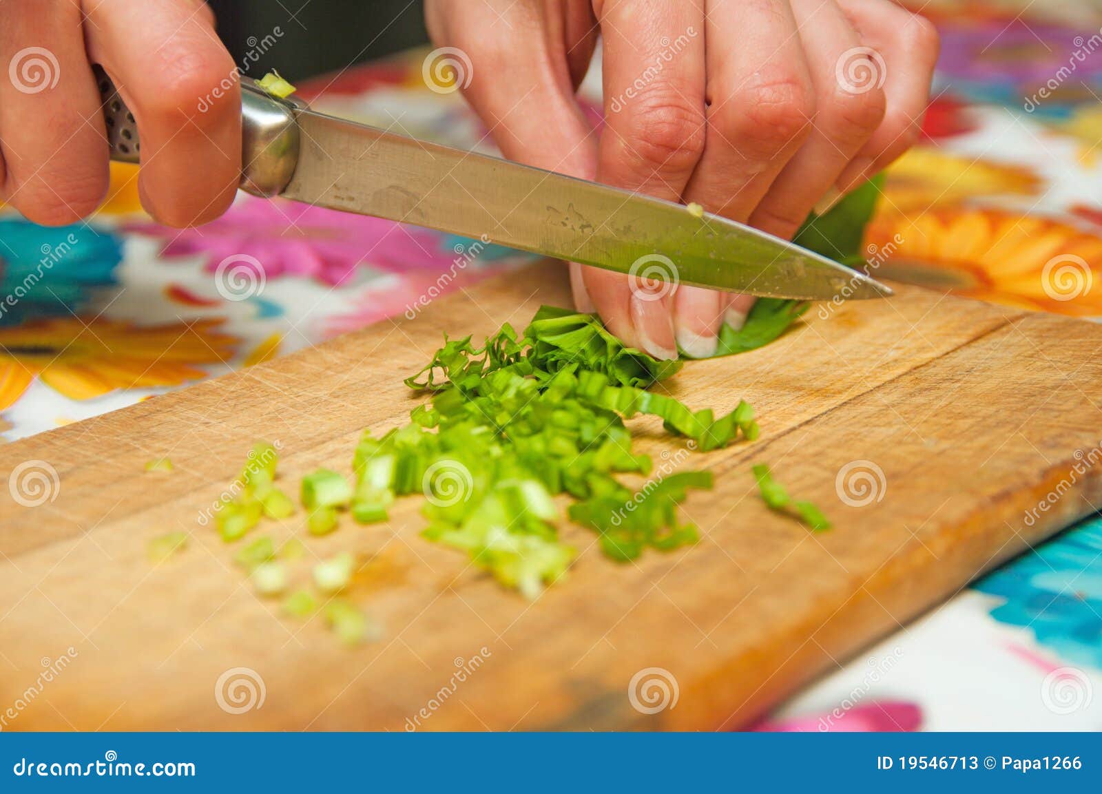 Onions Preparation stock image. Image of cuisine, diet - 19546713