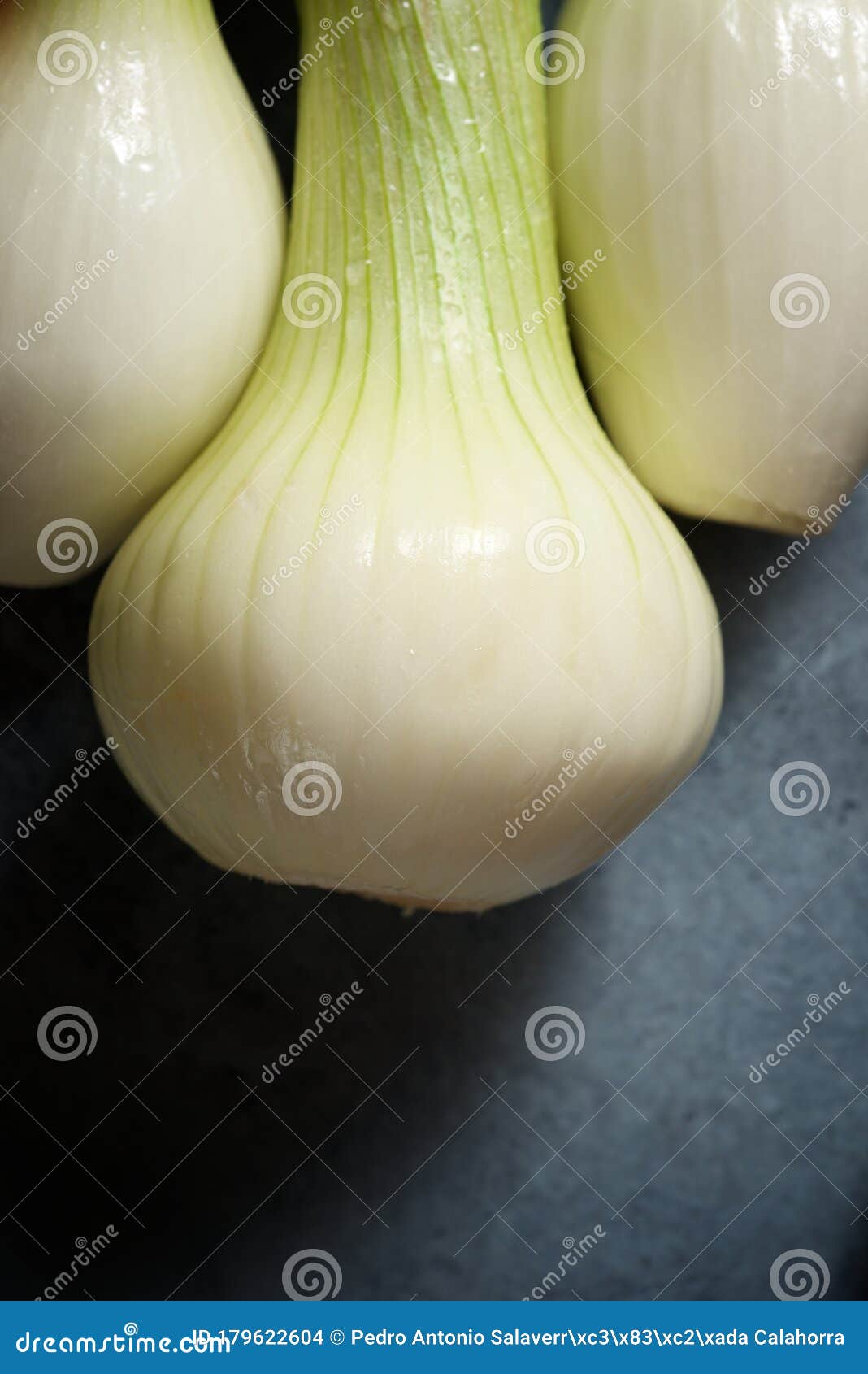 Onions on a table stock photo. Image of kitchen, onions - 179622604
