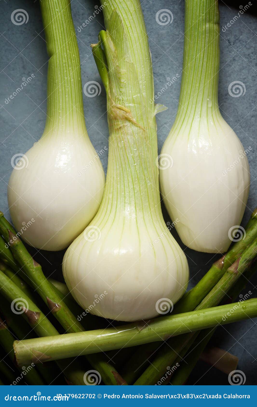 Onions on a table stock photo. Image of onion, nutrition - 179622702