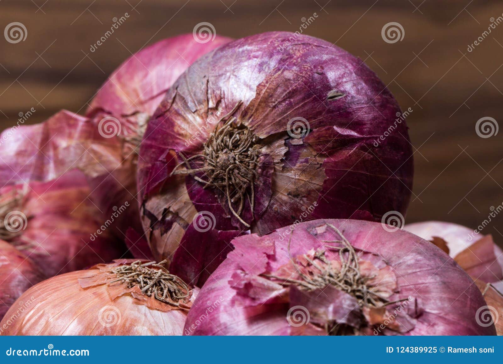 India onion isolated stock image. Image of culinary - 124389925