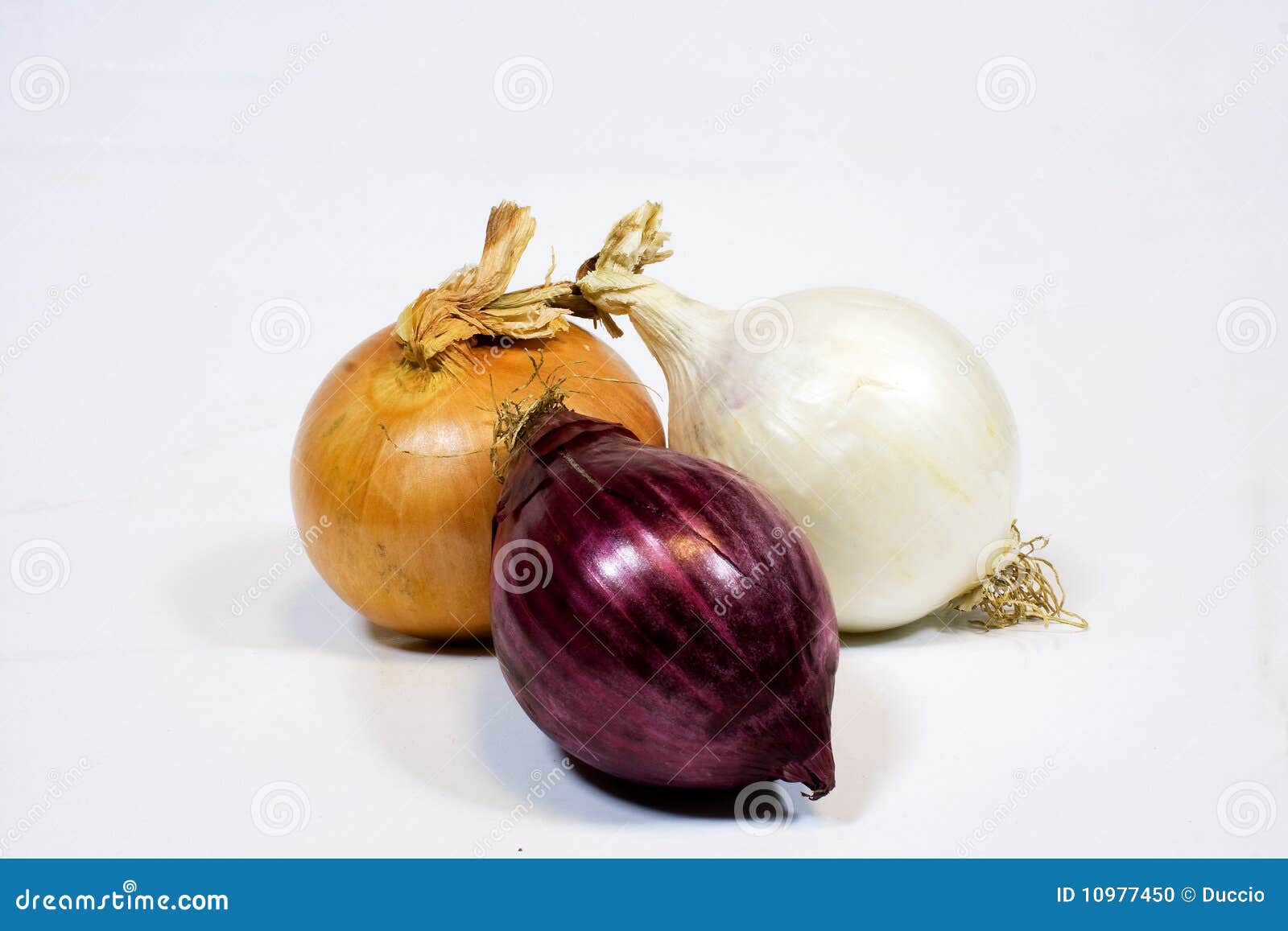 Onions on a White Background Stock Photo - Image of plants, food: 10977450