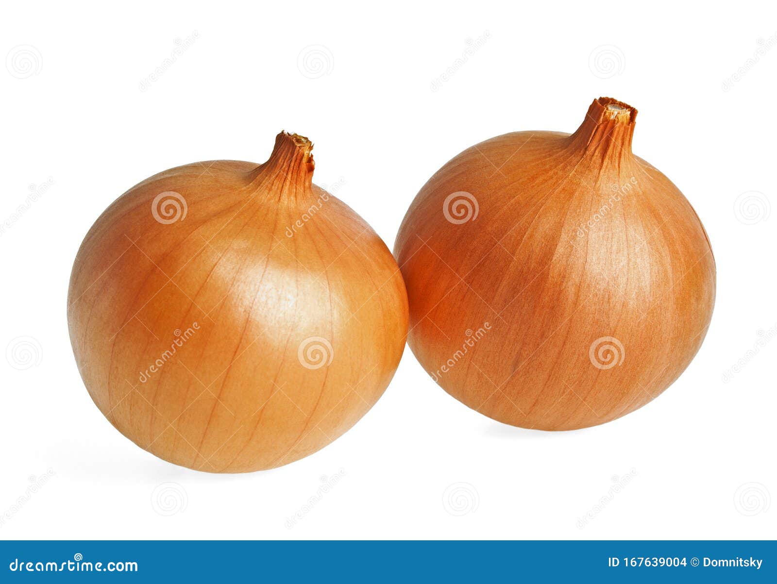Onions on a White Background Stock Photo - Image of peel, intact: 167639004