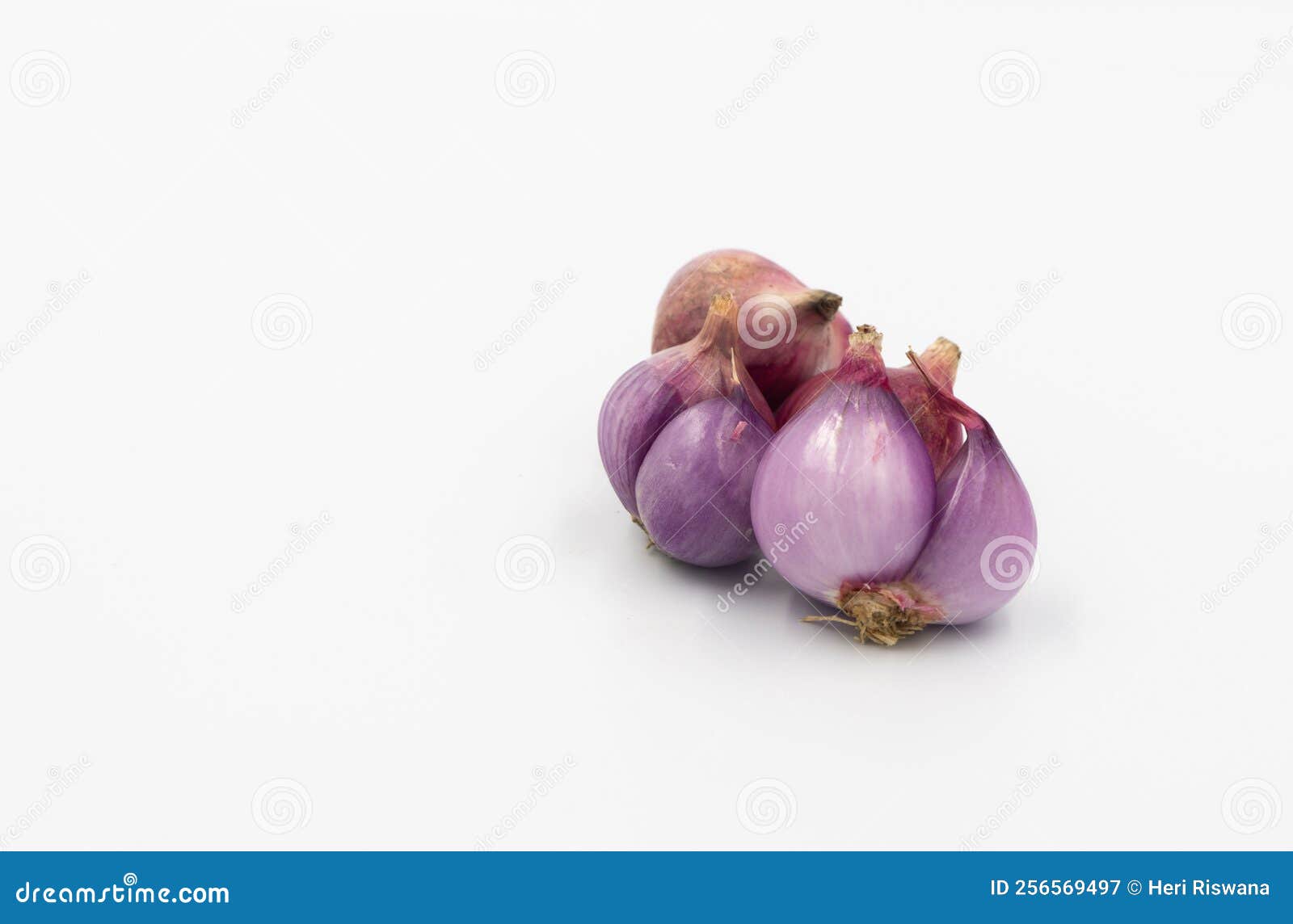 Onions on a White Background Stock Image - Image of composition ...