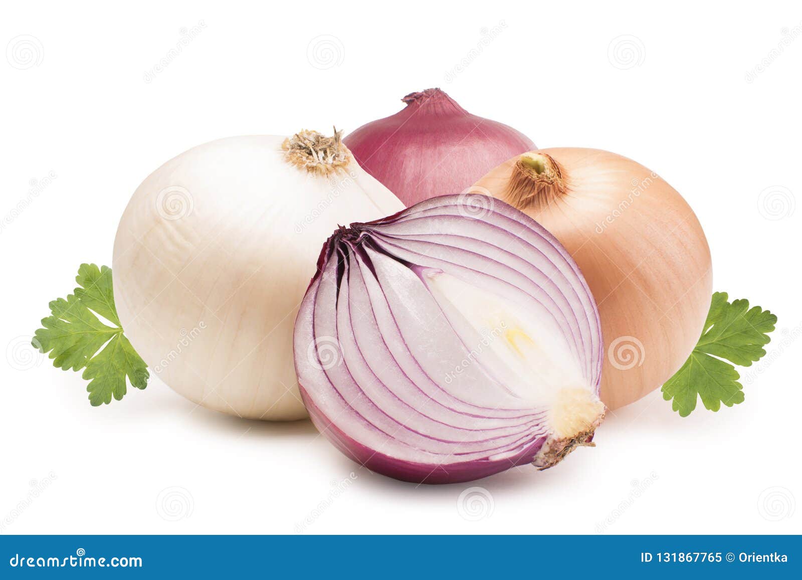 Onions on white background stock image. Image of onion - 131867765