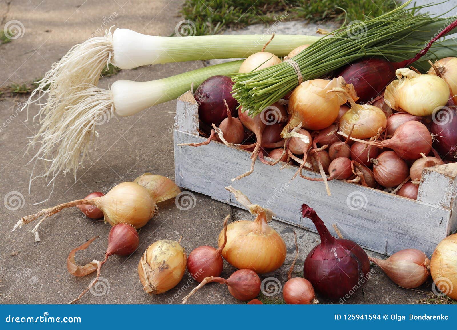 Onions in a wooden box stock photo. Image of ripe, board - 125941594