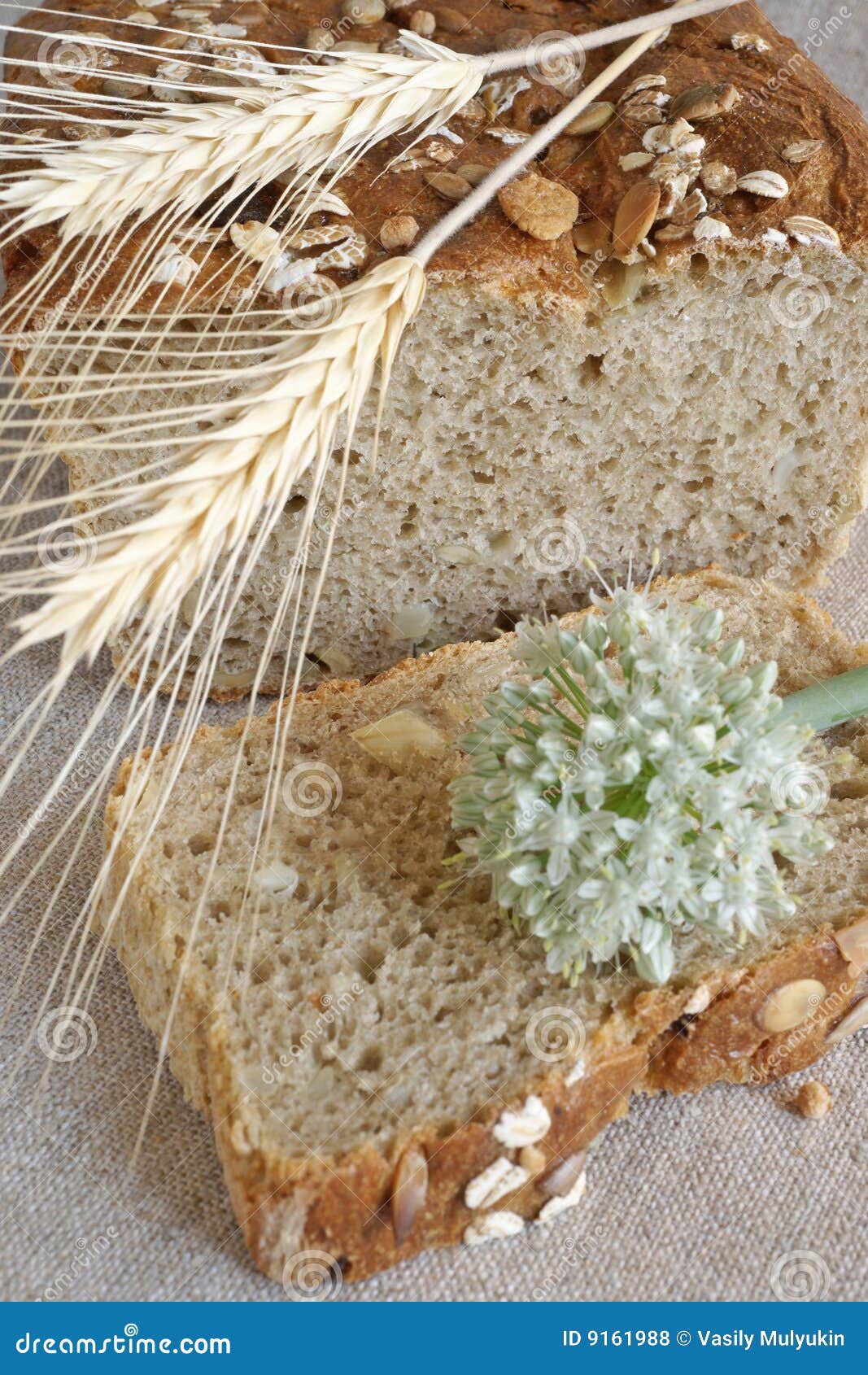Oniony bread and its slice stock photo. Image of spikes - 9161988