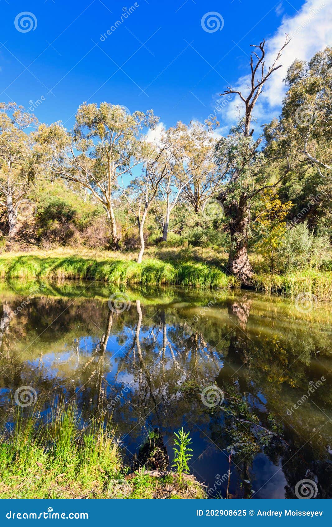 Onkaparinga River National Park on a Day Stock Image - Image of area ...