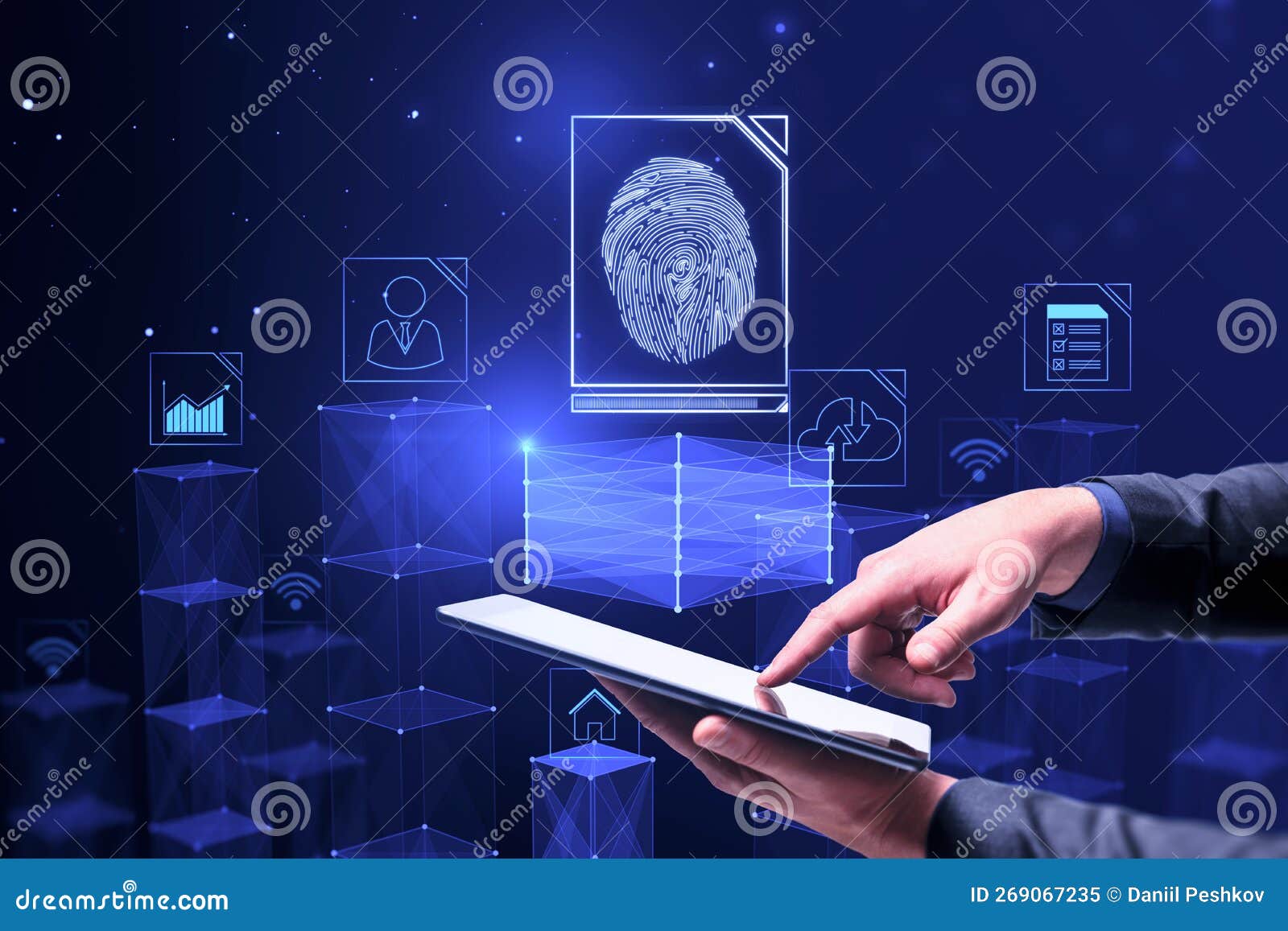 Online Biometric Authorization and Personal Data Security Concept with ...