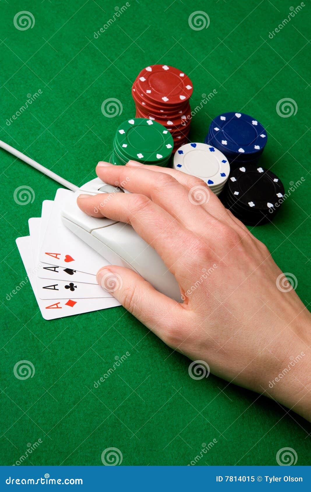 Online Gamble stock image. Image of gaming, internet, woman - 7814015