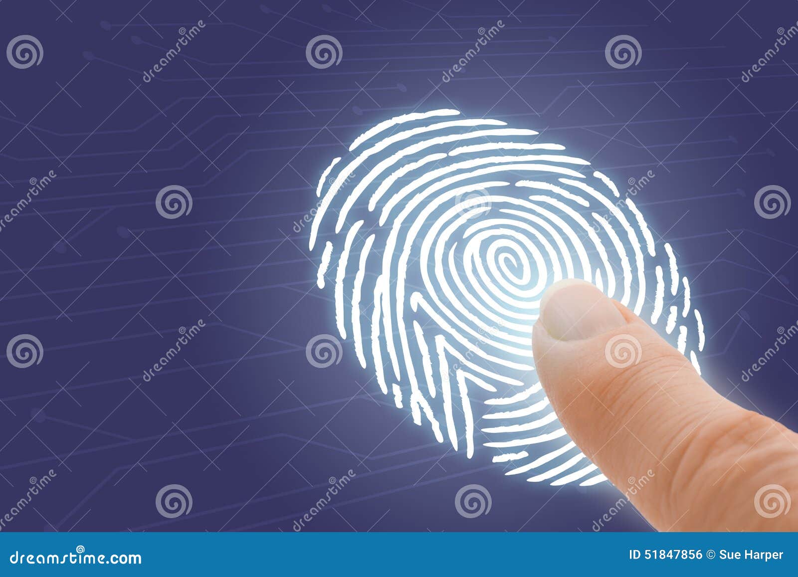 Online Identification and Security with Finger Pointing at Fingerprint ...