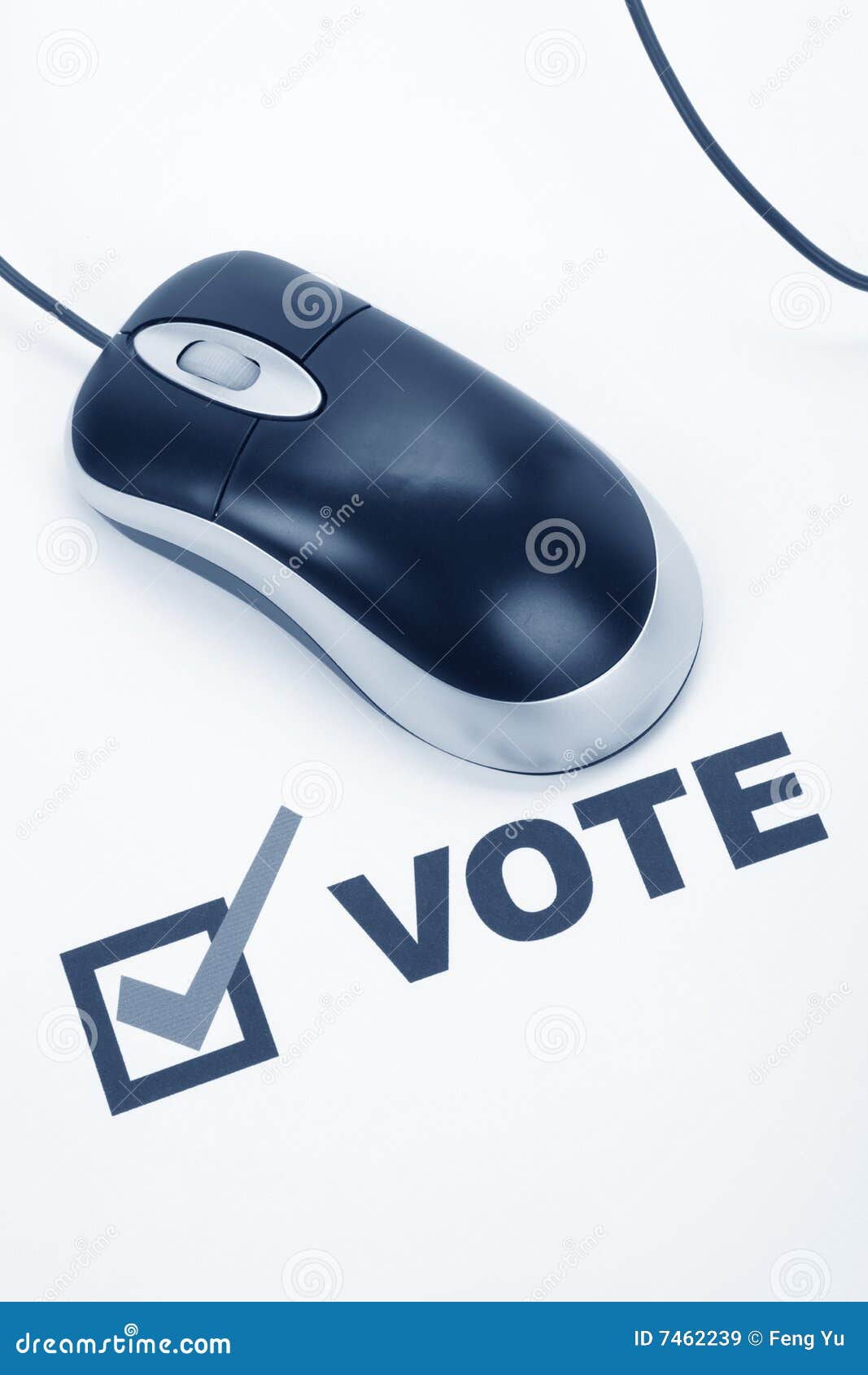 Online Voting stock image. Image of politics, vote, decisions - 7462239