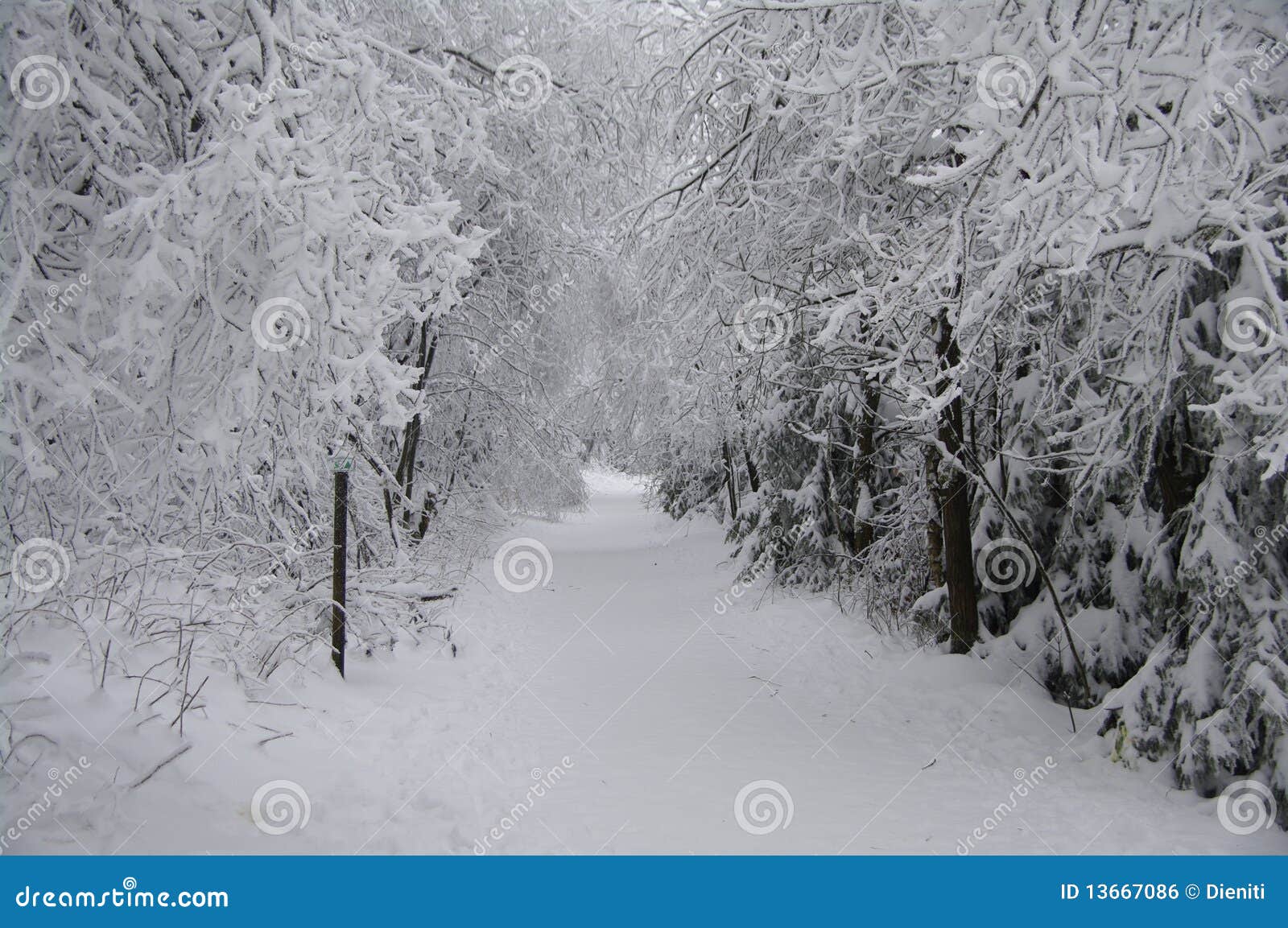 Onset of winter stock photo. Image of desolate, vacation - 13667086
