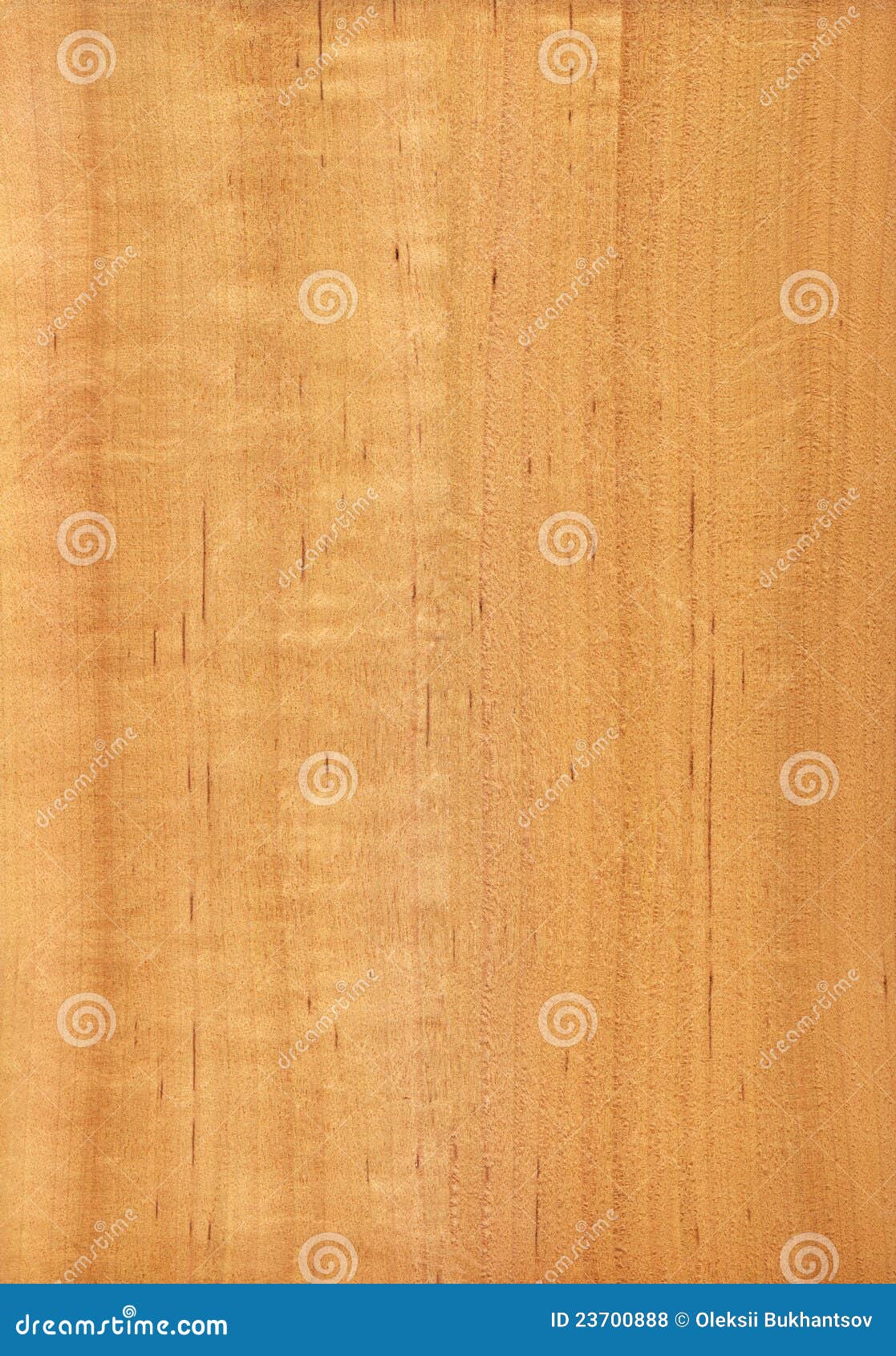 Ontano (struttura Di Legno) Fotografia Stock - Immagine di curva ...