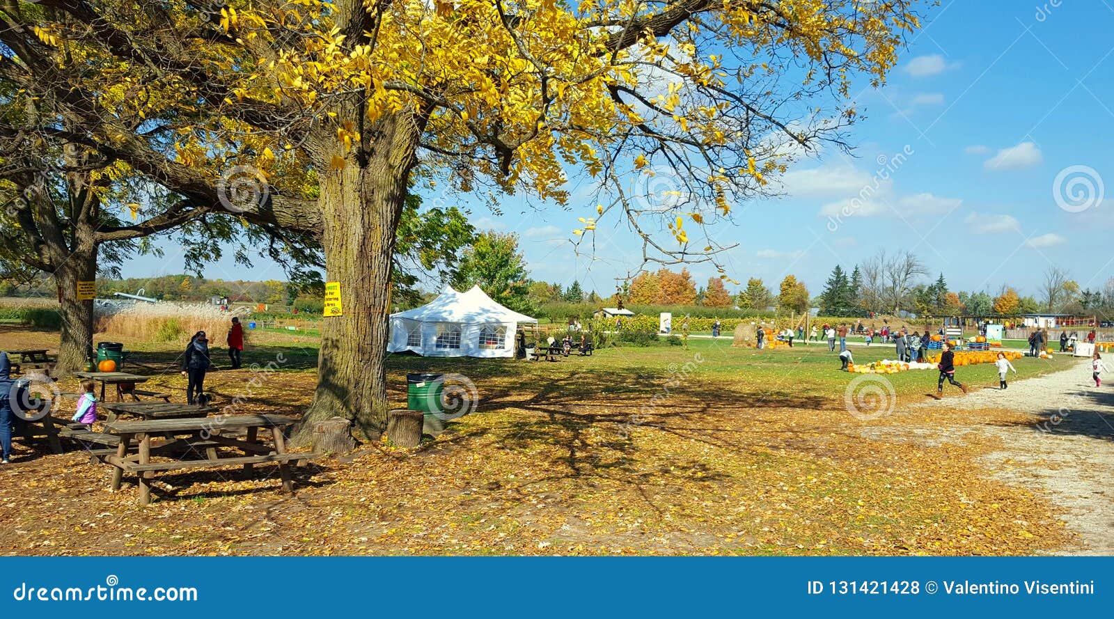 Ontario Farm in October editorial stock photo. Image of sunny - 131421428