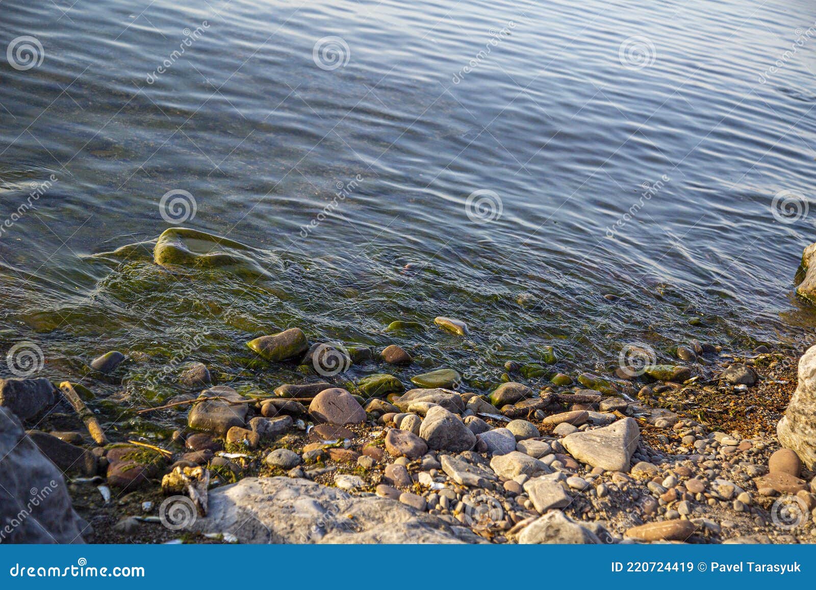 Ontario Lake in the Evening and Rocks Stock Image - Image of land ...