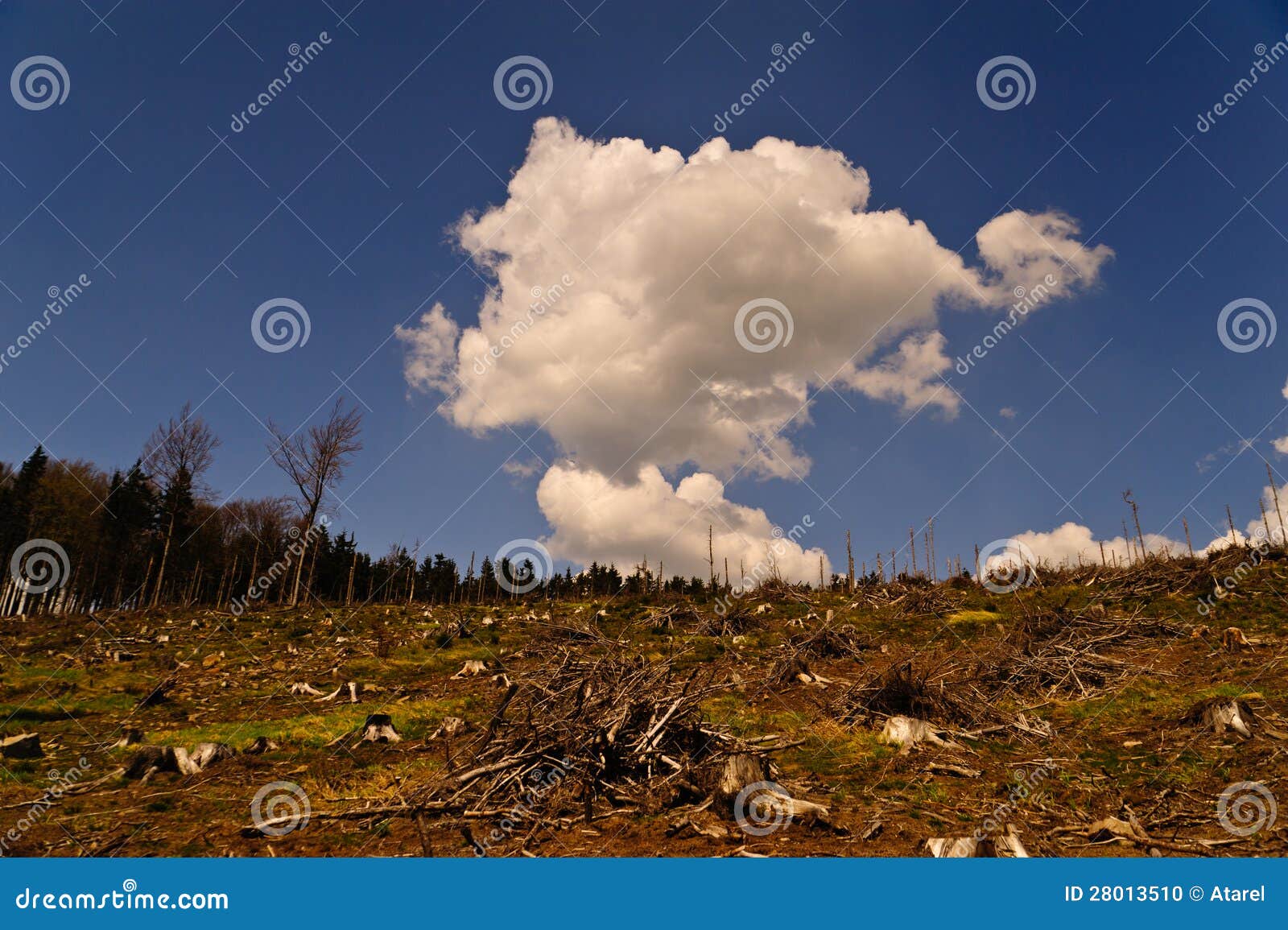 Ontbossing stock foto. Image of abrupt, wolk, besnoeiing - 28013510