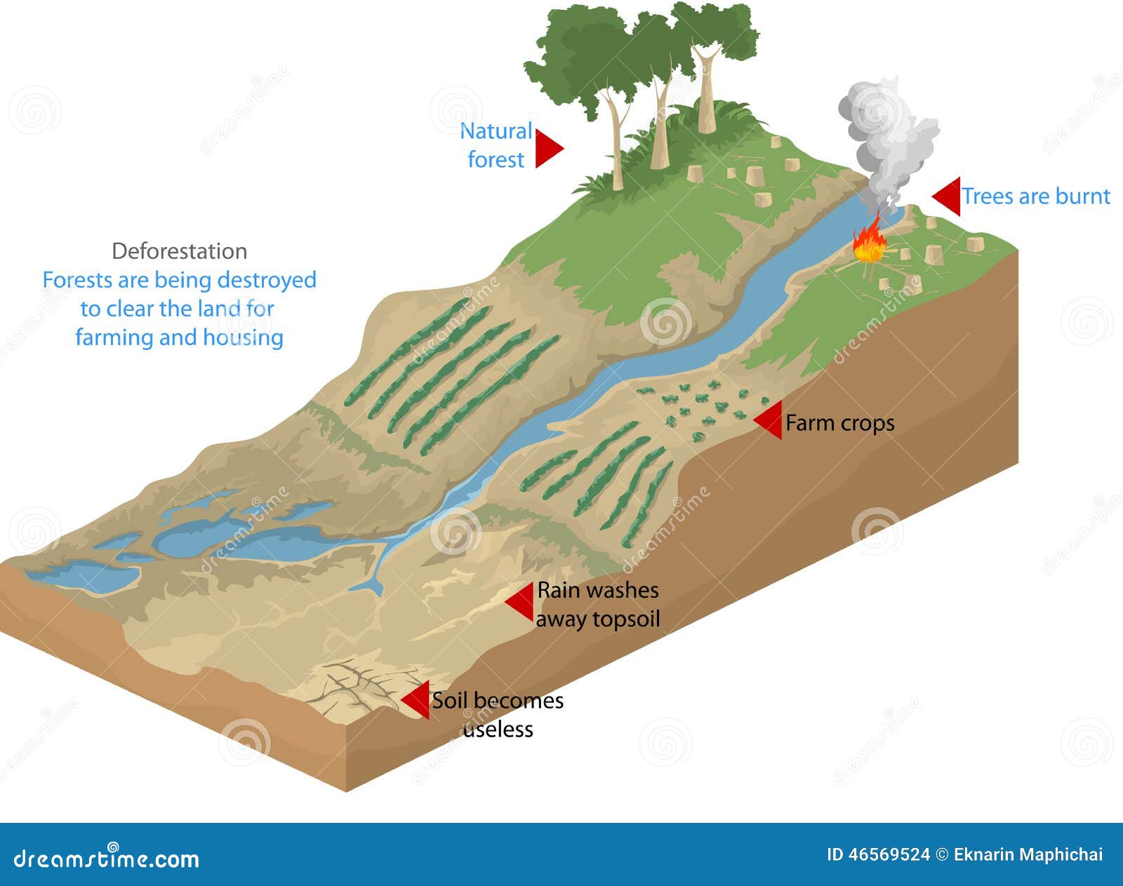 Ontbossing stock illustratie. Illustration of berg, landschap - 46569524