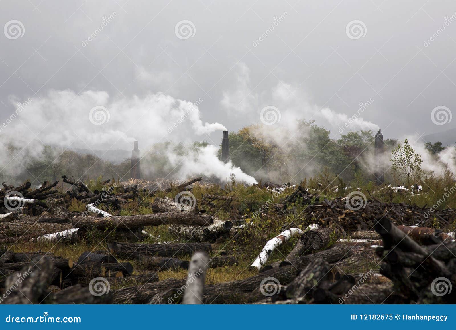 Ontbossing En Milieuvervuiling Stock Afbeelding - Image of ontbossing ...