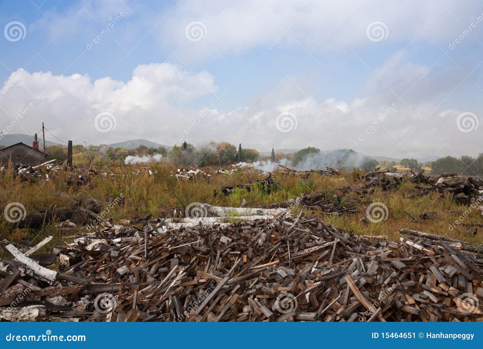 Ontbossing En Milieuvervuiling Stock Afbeelding - Image of hardhout ...