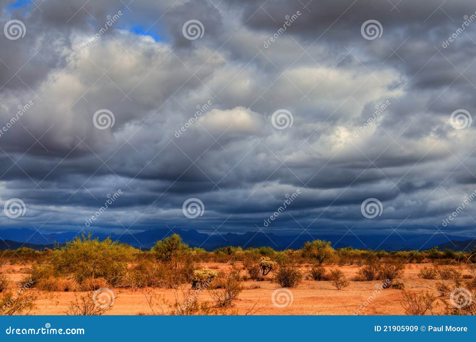 Onweer over de Woestijn stock afbeelding. Image of mexico - 21905909