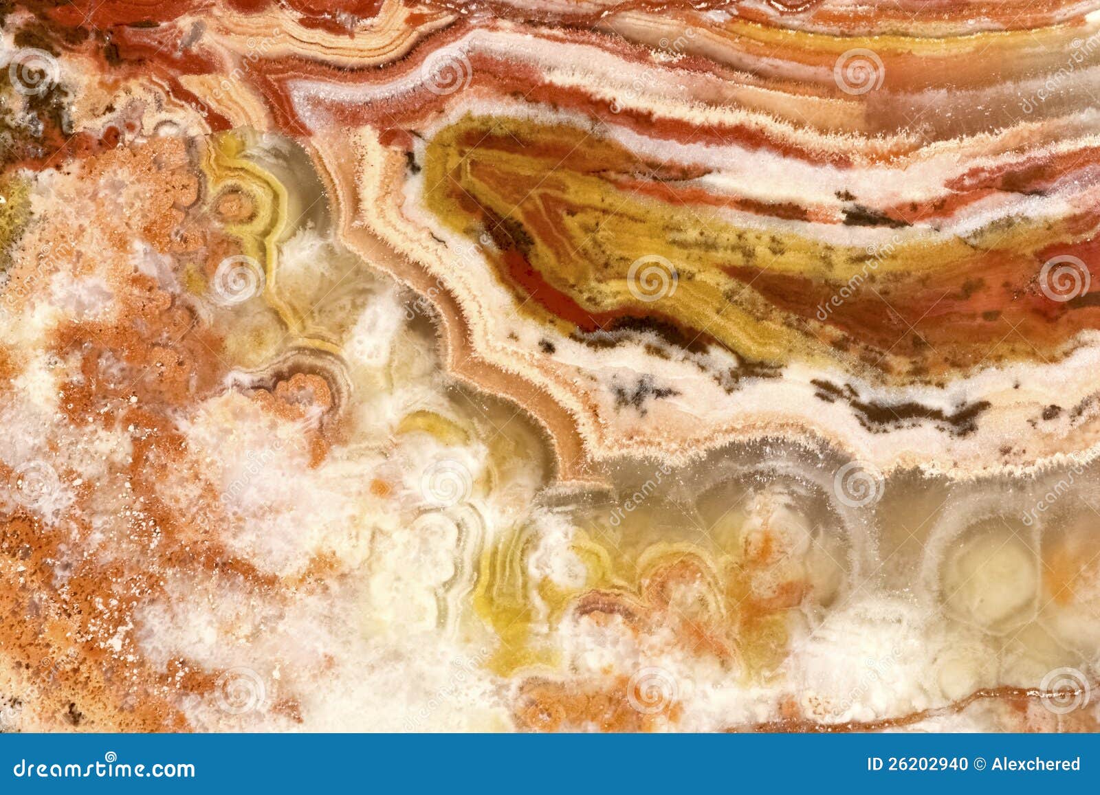 Yam Texture Surface With World Map Stock Image | CartoonDealer.com ...