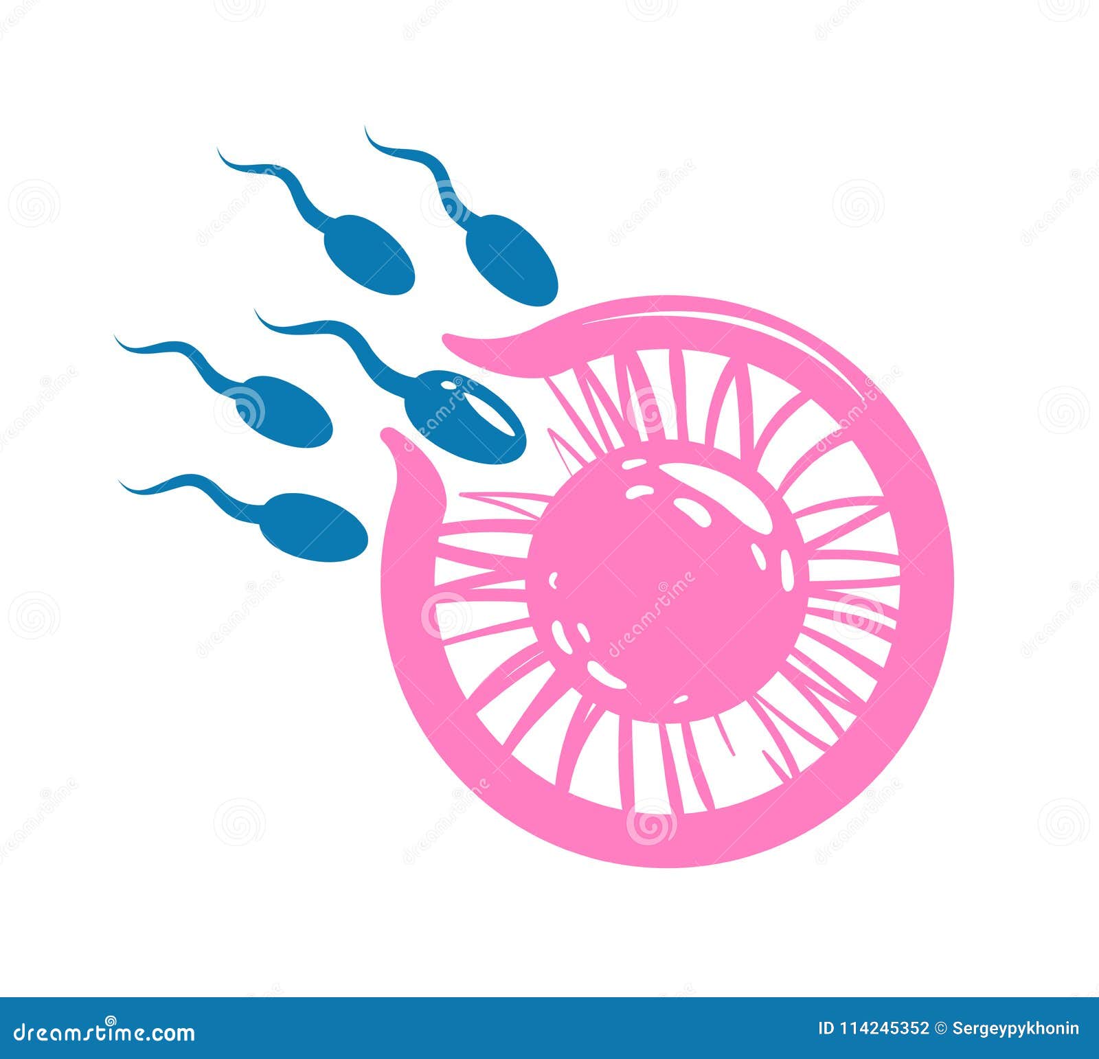 Oocyte Fertilization, Pregnancy, Conception Concept. Egg Cell and ...