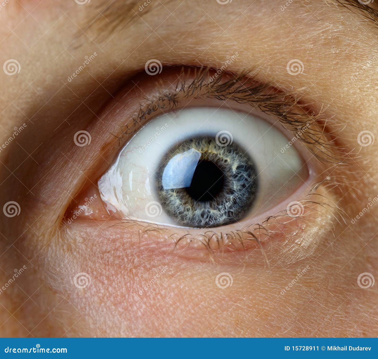 Oog stock afbeelding. Image of schoon, zwart, wijd, mening - 15728911