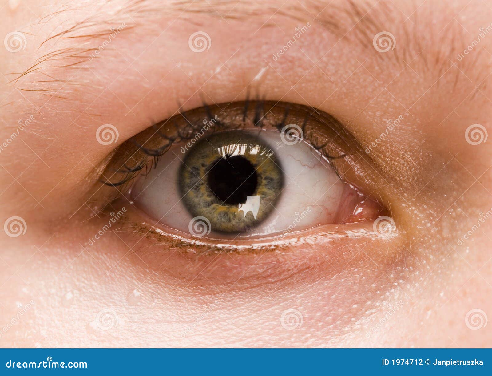 Oog Foto. Afbeelding: 1974712