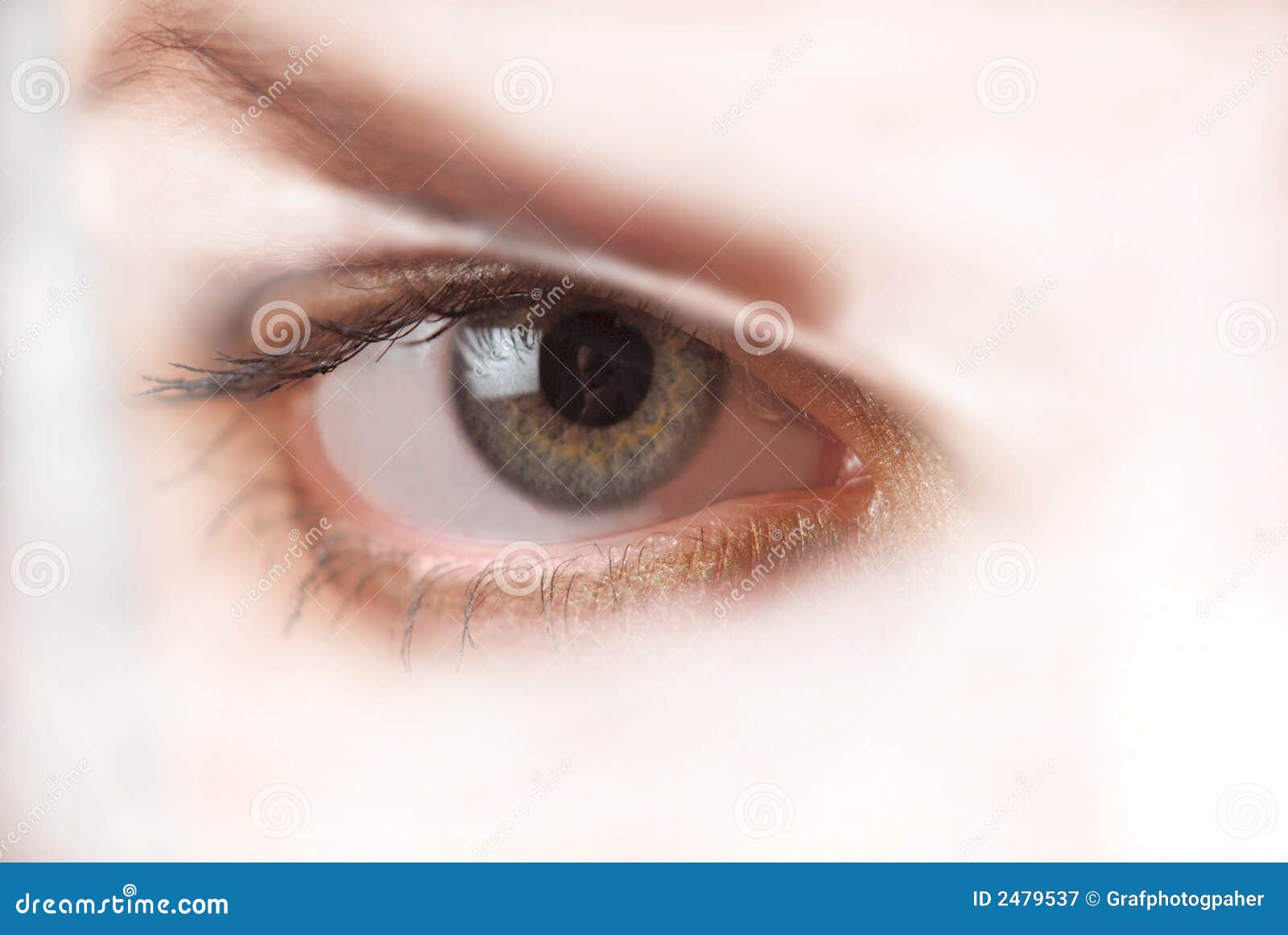 Oog, Close-up Picture. Image: 2479537