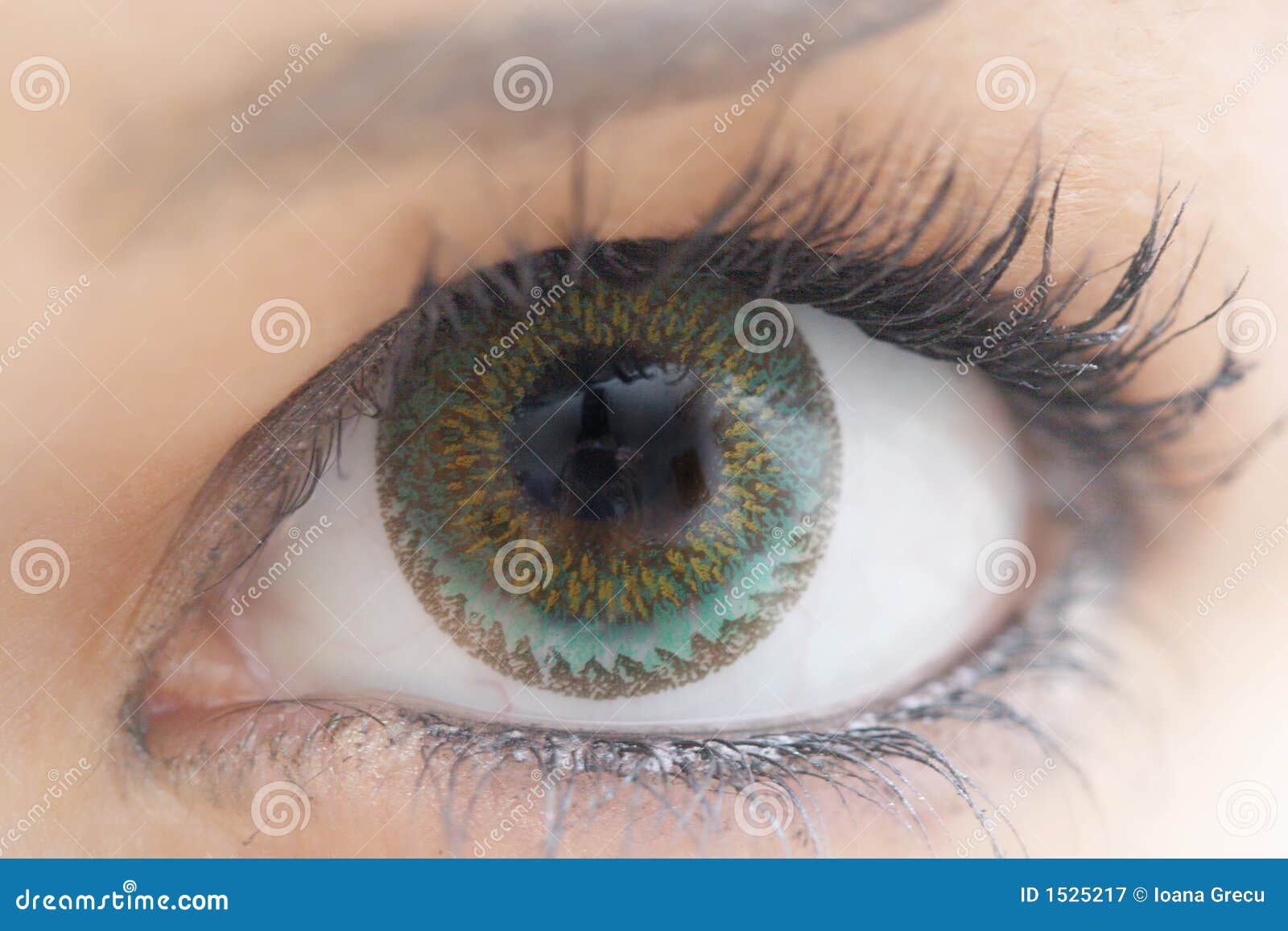 Oog met contactlens stock afbeelding. Image of mooi, schoonheidsmiddel ...