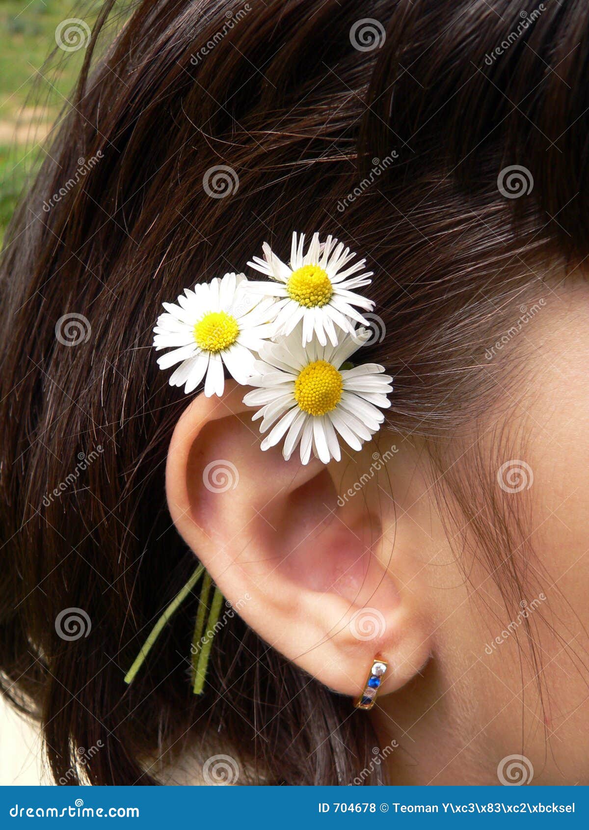 Oor stock foto. Image of band, haar, zeer, gras, minnaar - 704678