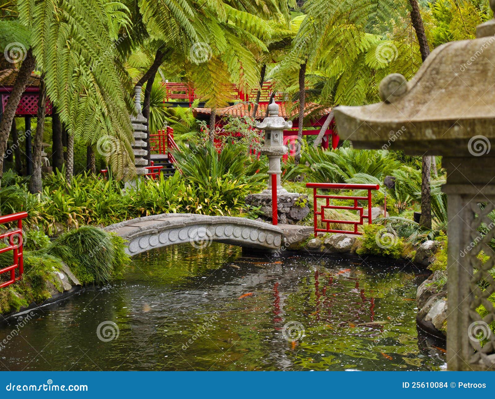 Oosterse Tuin stock foto. Image of groei, japans, tuin - 25610084