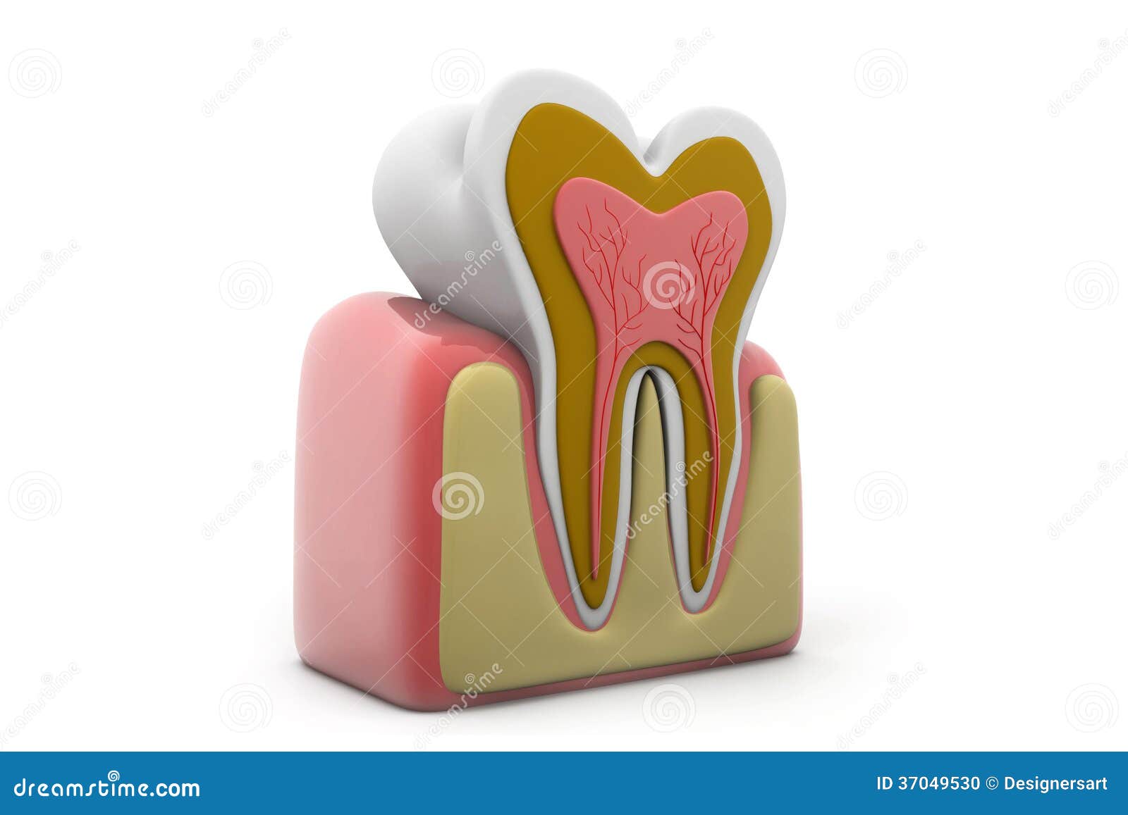 Ooth Cartoons, Illustrations & Vector Stock Images - 21 Pictures to ...