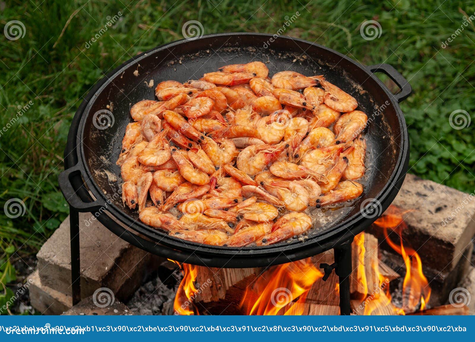 Open Air Campfire Iron Plate with Shrimp Stock Photo - Image of people ...