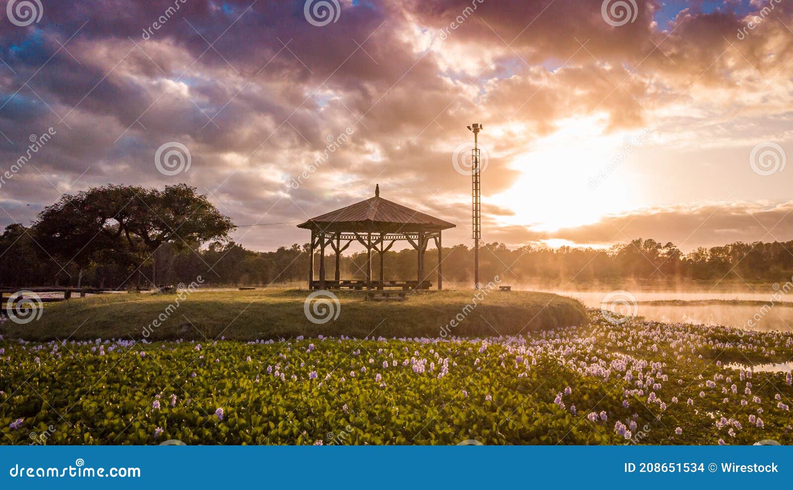 Open-air Structure by the Tree and Flowers Under the Clouds Stock Photo ...