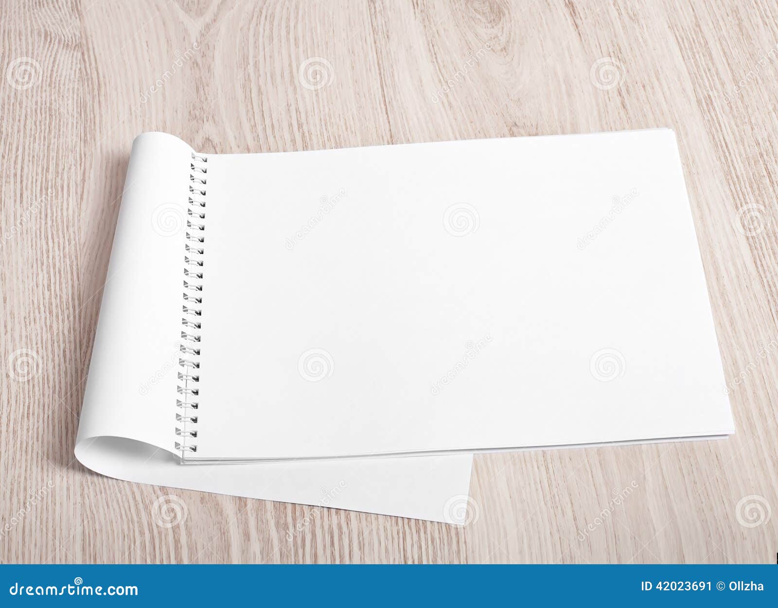 Open Album with Blank Pages Stock Image - Image of brochure, spiral ...
