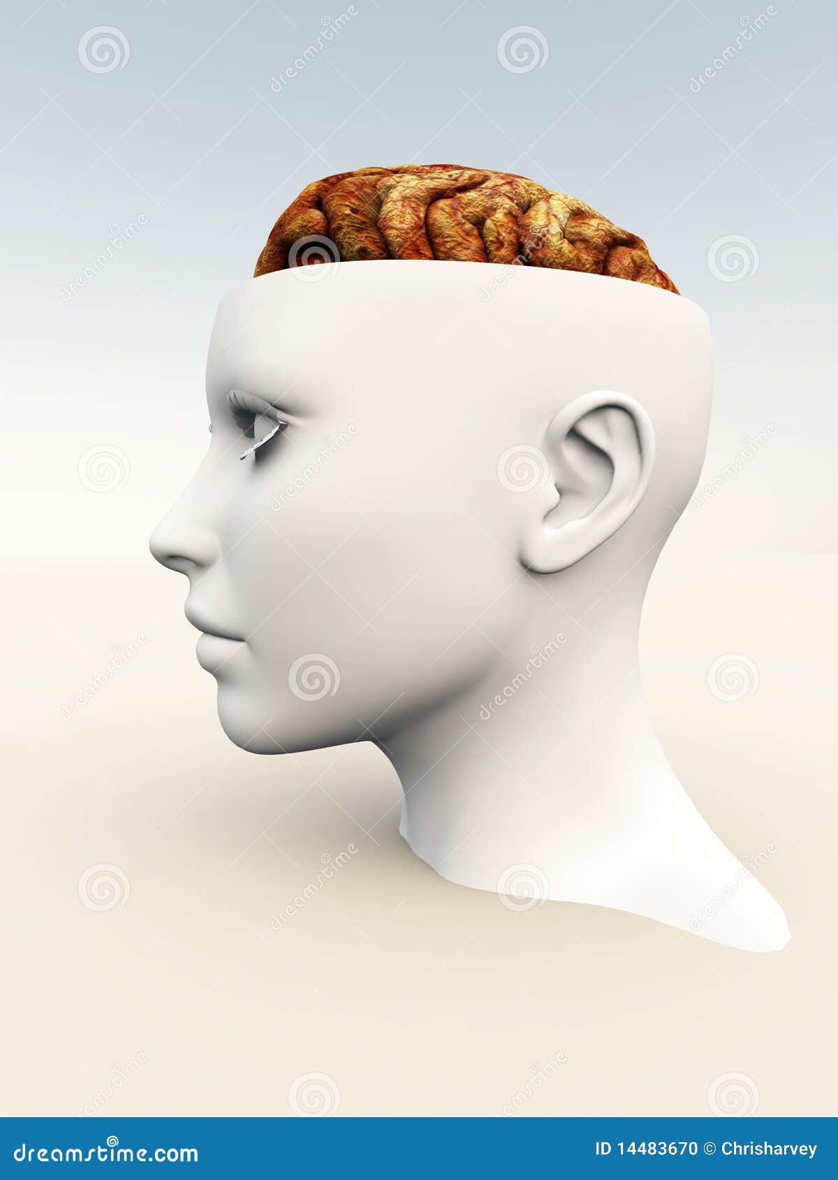 Open Anatomisch Hoofd stock illustratie. Illustration of geduldig ...