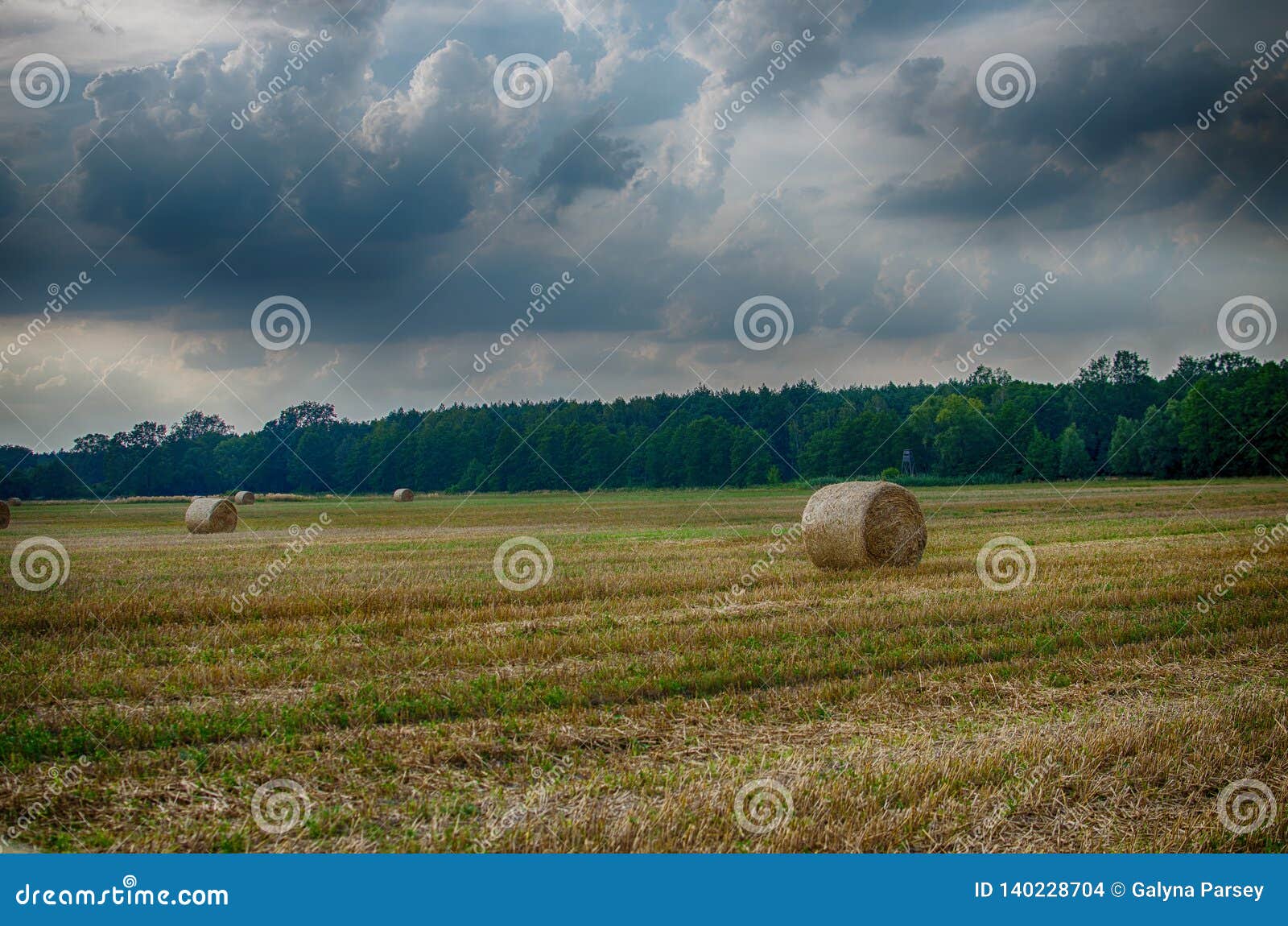Open Area of the Field with Sowing Stock Photo - Image of countryside ...