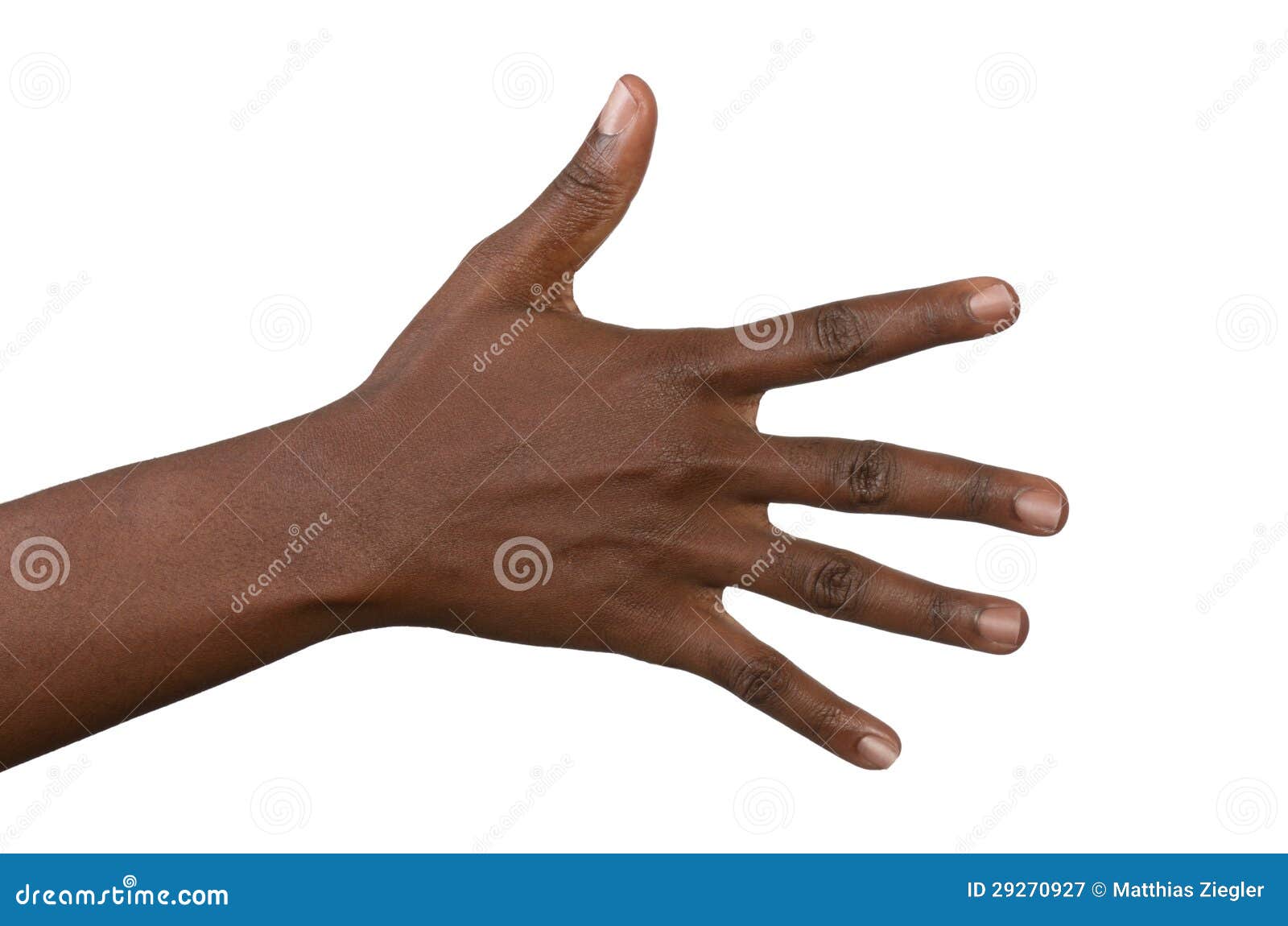 Open Back of Black Woman S Hand Stock Image - Image of high, palm: 29270927