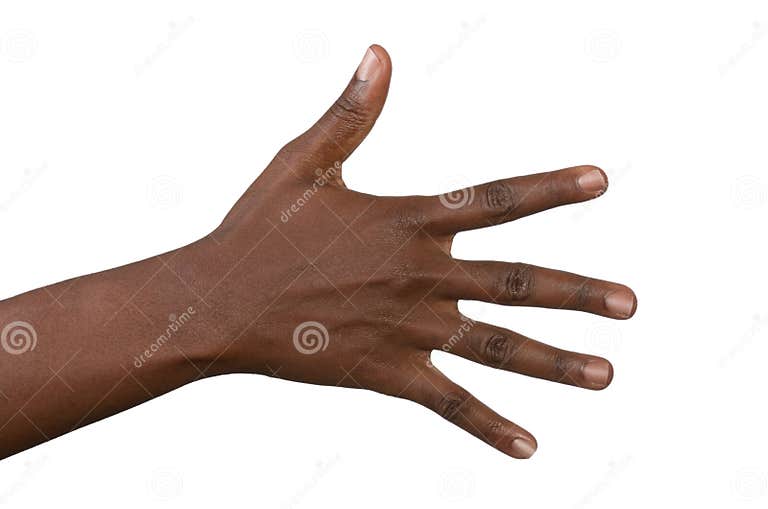 Open Back of Black Woman S Hand Stock Image - Image of high, palm: 29270927