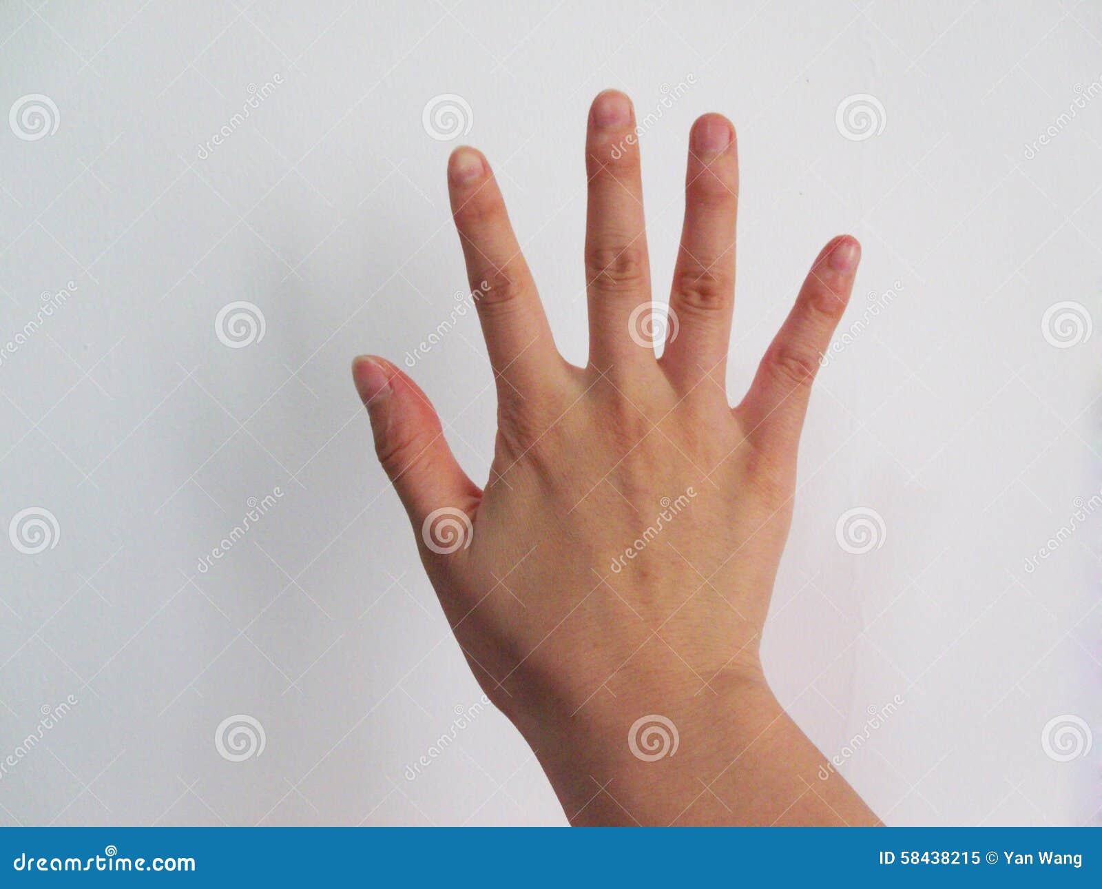 Open back hand stock image. Image of executive, female - 58438215