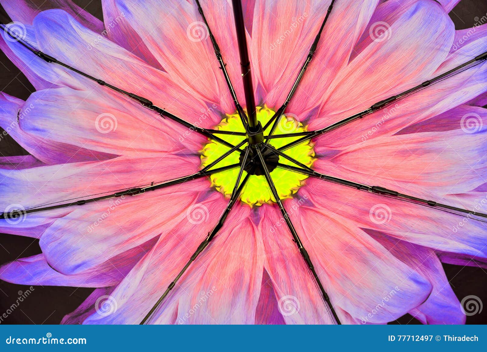 Open a Background Pattern Colorful Beauty. Stock Image - Image of ...