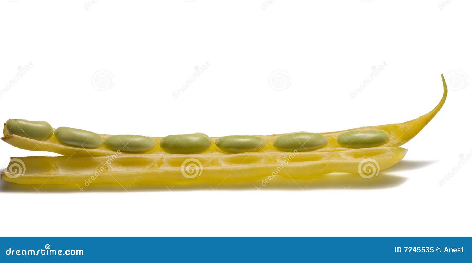Open Bean Pod Isolated on White Stock Image - Image of vegetable ...